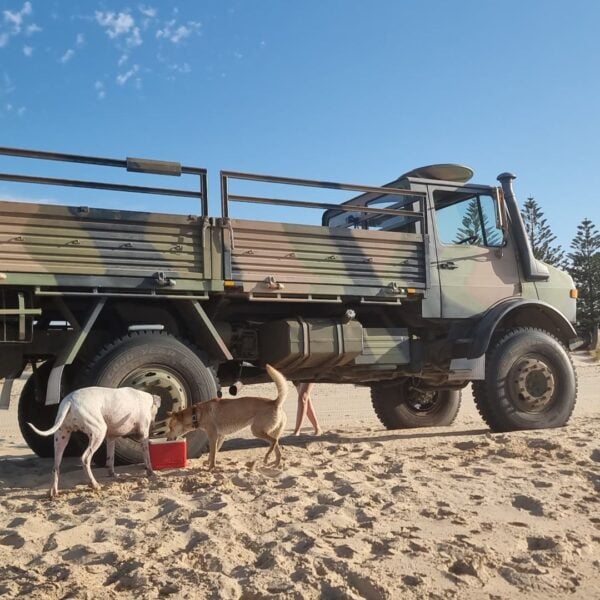 Cargo | Aust. Ex-Military Unimogs