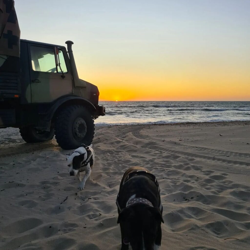Cargo | Aust. Ex-Military Unimogs